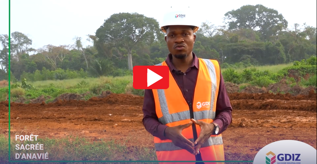 Discovering the sacred forest of Anavié - GDIZ Benin