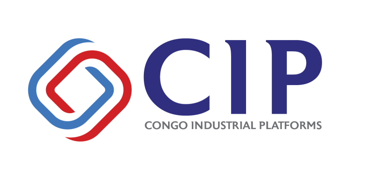 About Arise IIP - GDIZ Benin