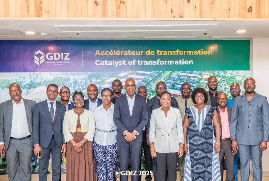 Welcome to GDIZ Benin